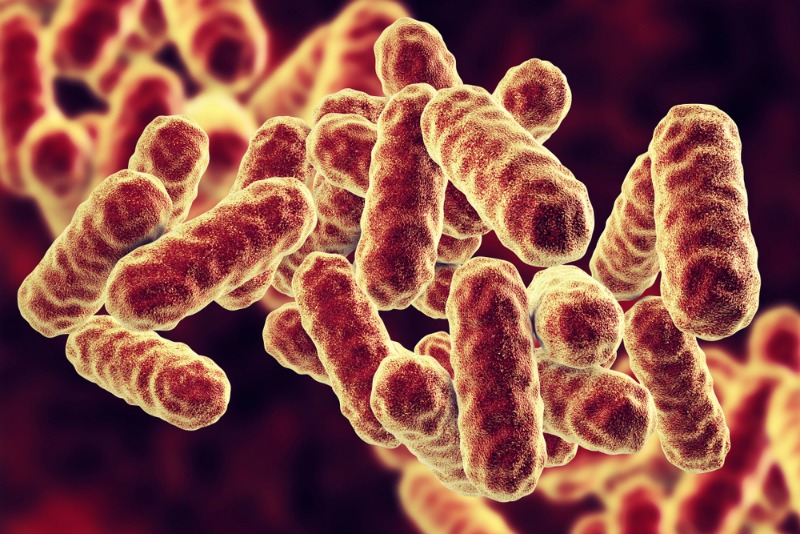 Microbiomul: Universul incredibil din colonul uman, legatura dintre ...